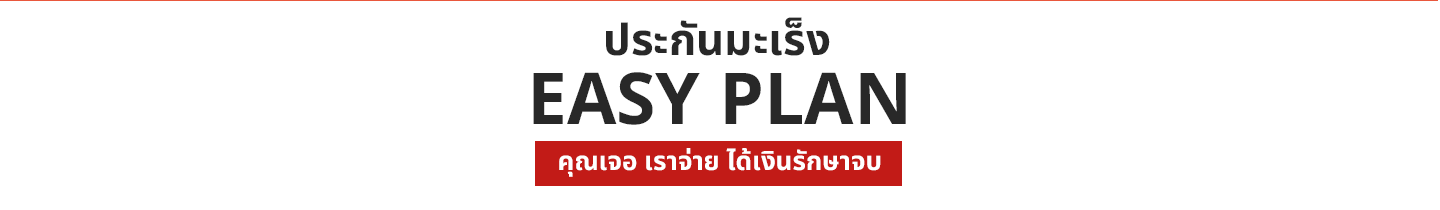 ประกันมะเร็ง EASY PLAN คุณเจอ เราจ่าย ได้เงินรักษาจบ จากเจนเนอราลี่